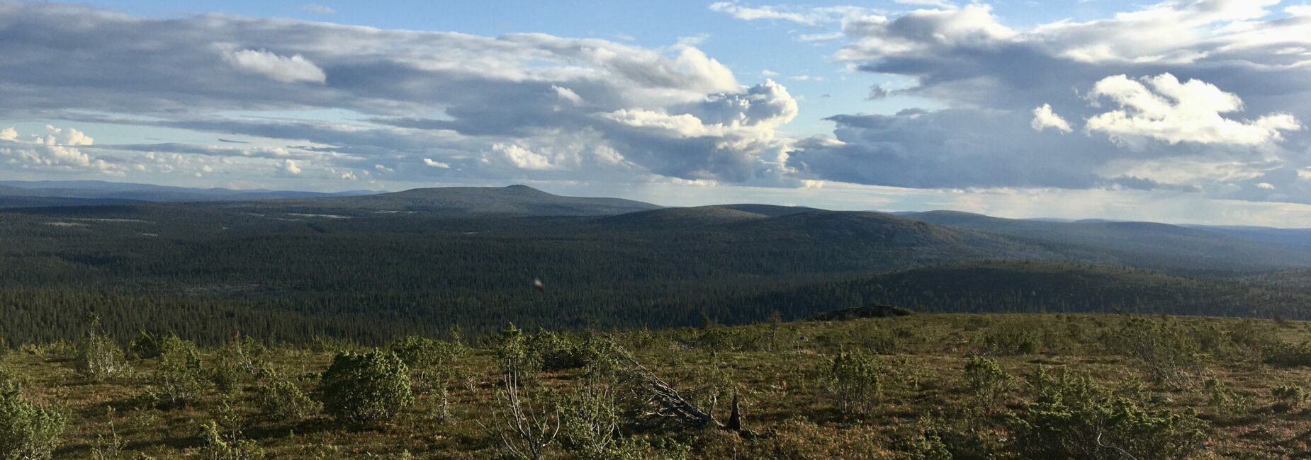 Tuntsakauppa – Suomen Sallasta